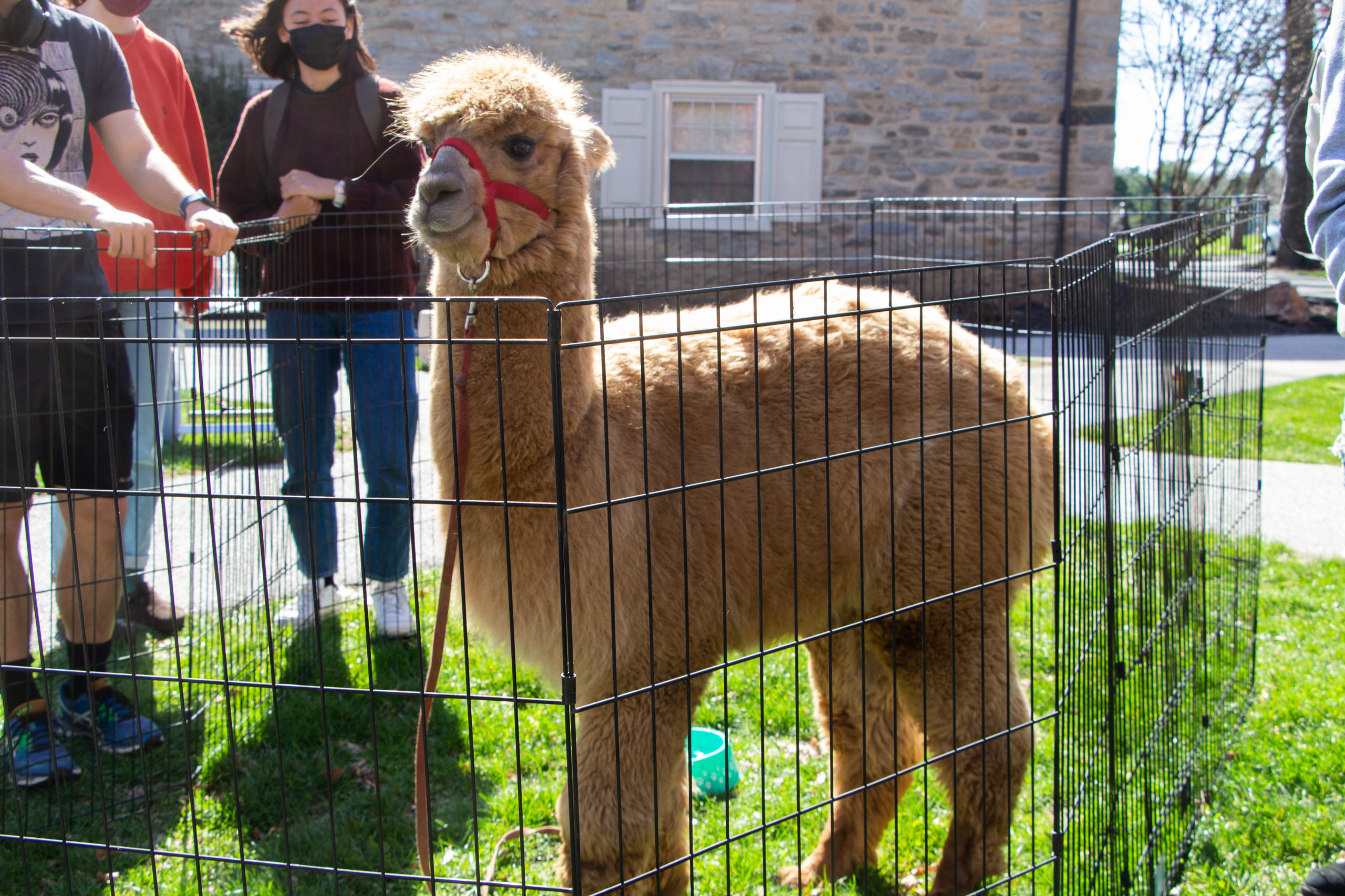 IMG_3389 – The Clerk